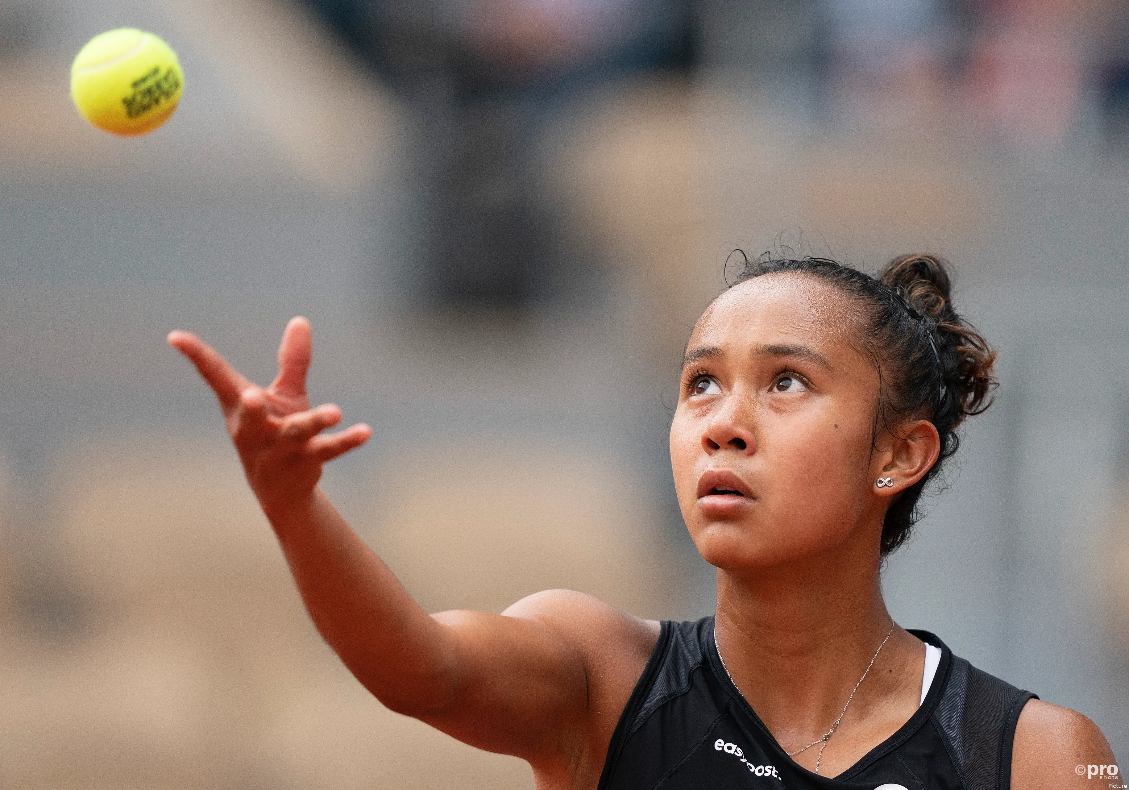 Todo sobre Leylah Fernandez